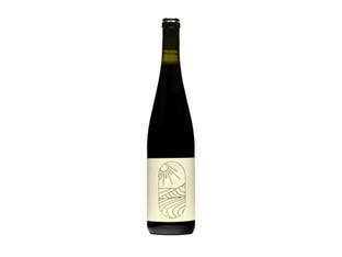 Best natural wines 2023: Discover organic and biodynamic bottles | The Independent